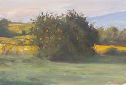 Postcard from Provence | Demos